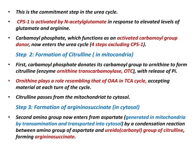 Urea cycle, Biochemistry, Human Excretory system | PPT