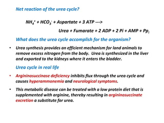 Urea cycle, Biochemistry, Human Excretory system | PPT