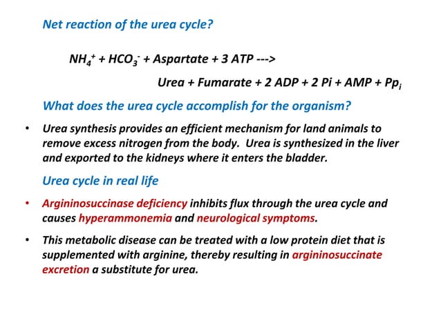 Urea cycle, Biochemistry, Human Excretory system | PPT