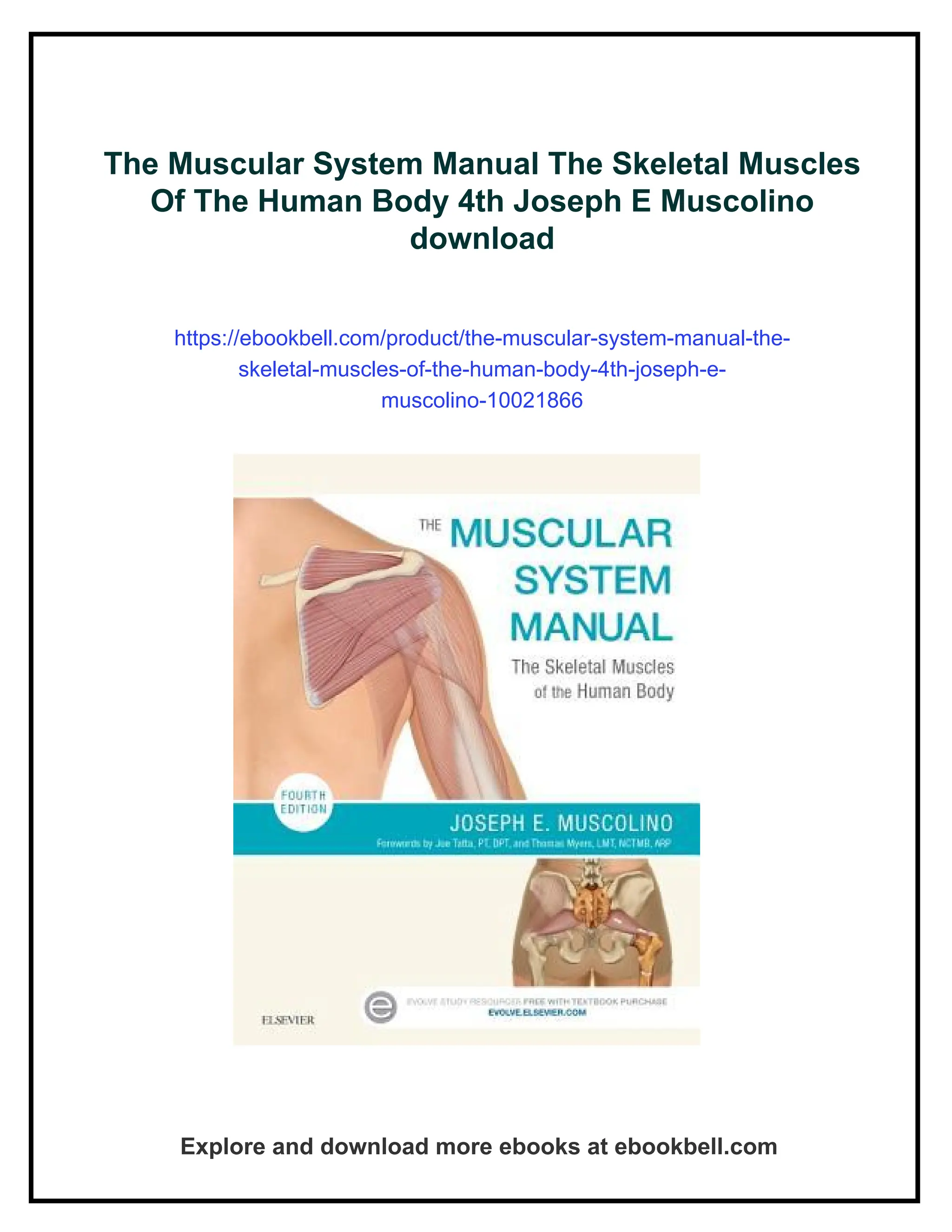 The Muscular System Manual The Skeletal Muscles Of The Human Body 4th ...