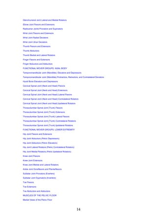 The Muscular System Manual The Skeletal Muscles Of The Human Body 4th ...