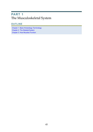 The Muscular System Manual The Skeletal Muscles Of The Human Body 4th ...