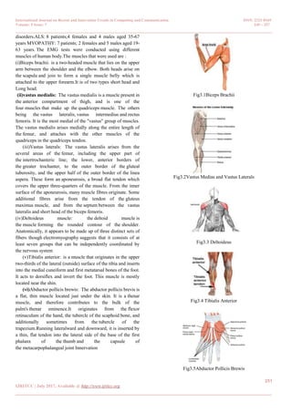 Time Frequency Feature Extraction Scheme based on MUAP for classification of Neuromuscular ...