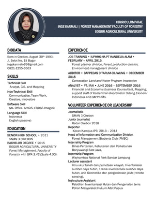 CV Inge Karmali | PDF