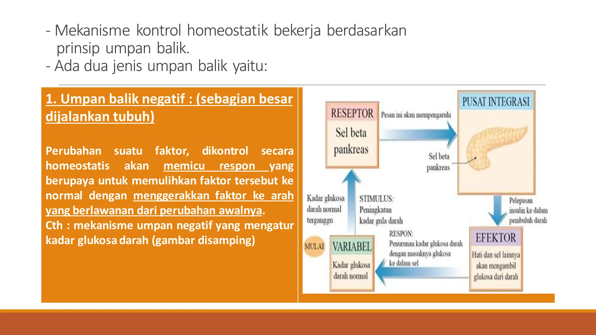 501998334-1-PPT-KONSEP-HOMEOSTASIS-TUBUH-Reg-B.pdf