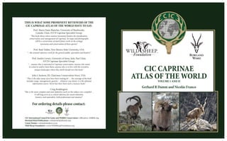 WSF CIC Flyer Final | PPT