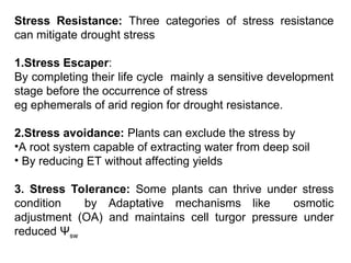 501 Physiology of water stress-1.pptbbsbb | PPT