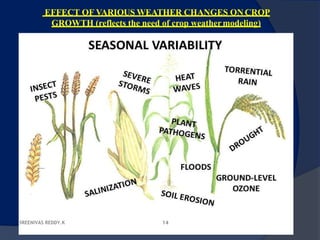 Crop Modeling - Types of crop growth models in agriculture | PPTX