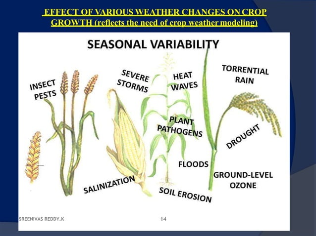 Crop Modeling - Types of crop growth models in agriculture | PPTX ...
