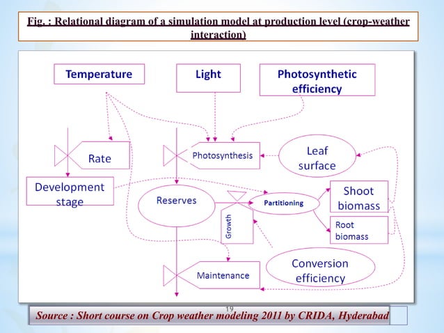 Crop Modeling - Types of crop growth models in agriculture | PPTX ...