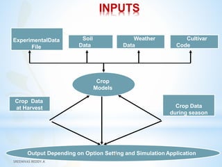 Crop Modeling - Types of crop growth models in agriculture | PPTX