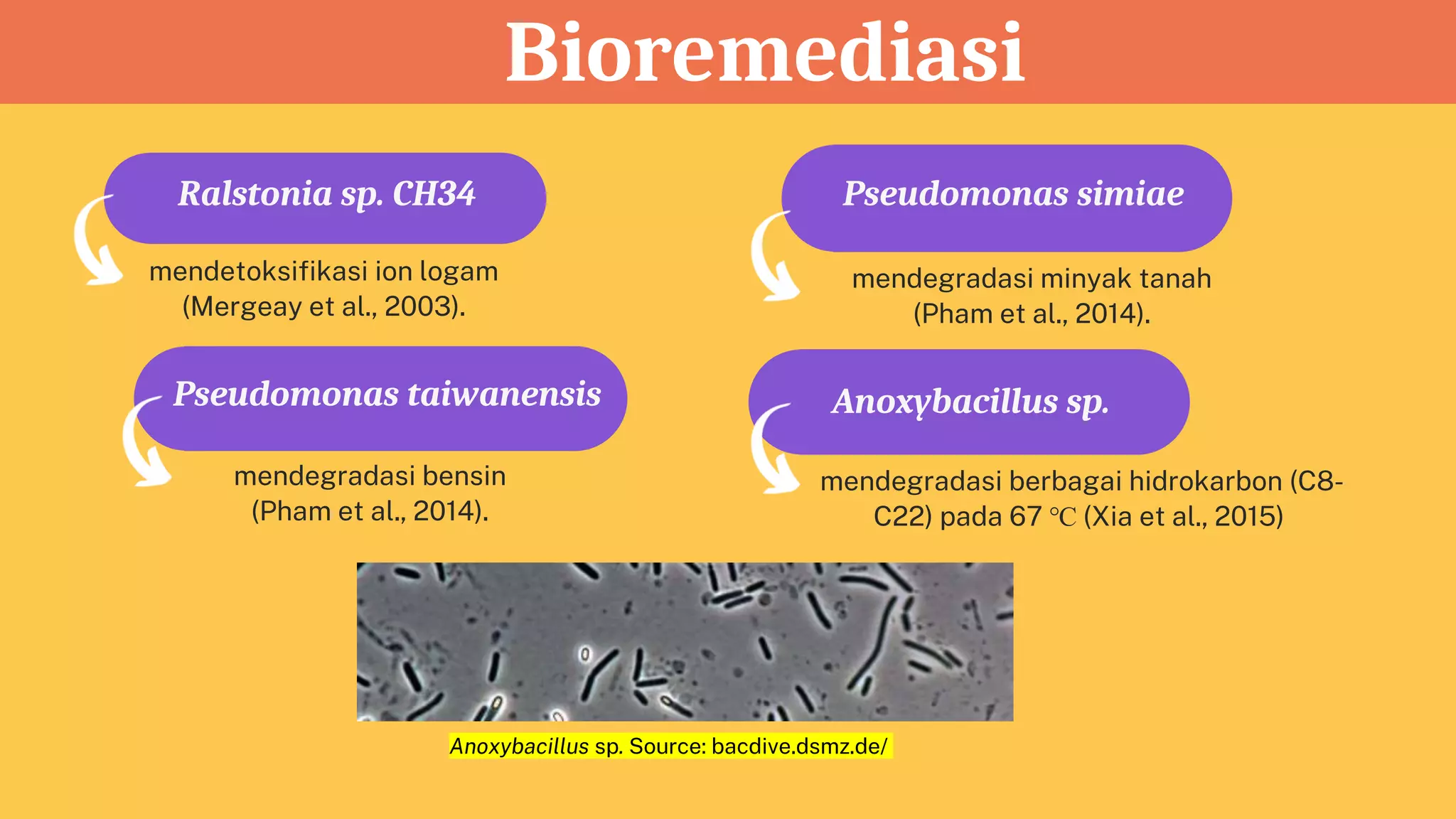 Bioprospeksi mikroorganisme ekstremofilik.pptx