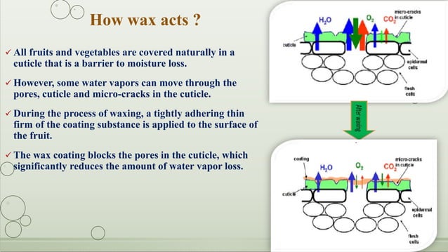 fruit waxing | PPTX