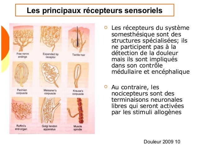 physio de la douleur