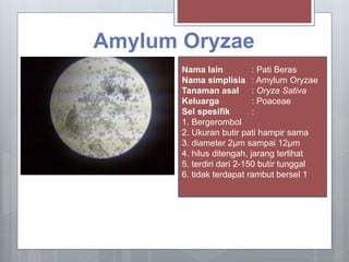 503793898-Praktik-Farmakognosi-Amylum.pptx