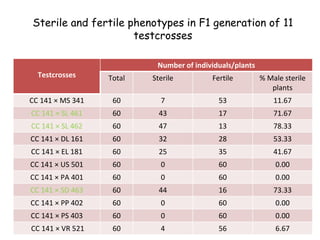 Development of male sterile lines in brinjal and chilli.pptx