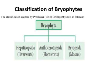 503 Classificatin of plants.pptx