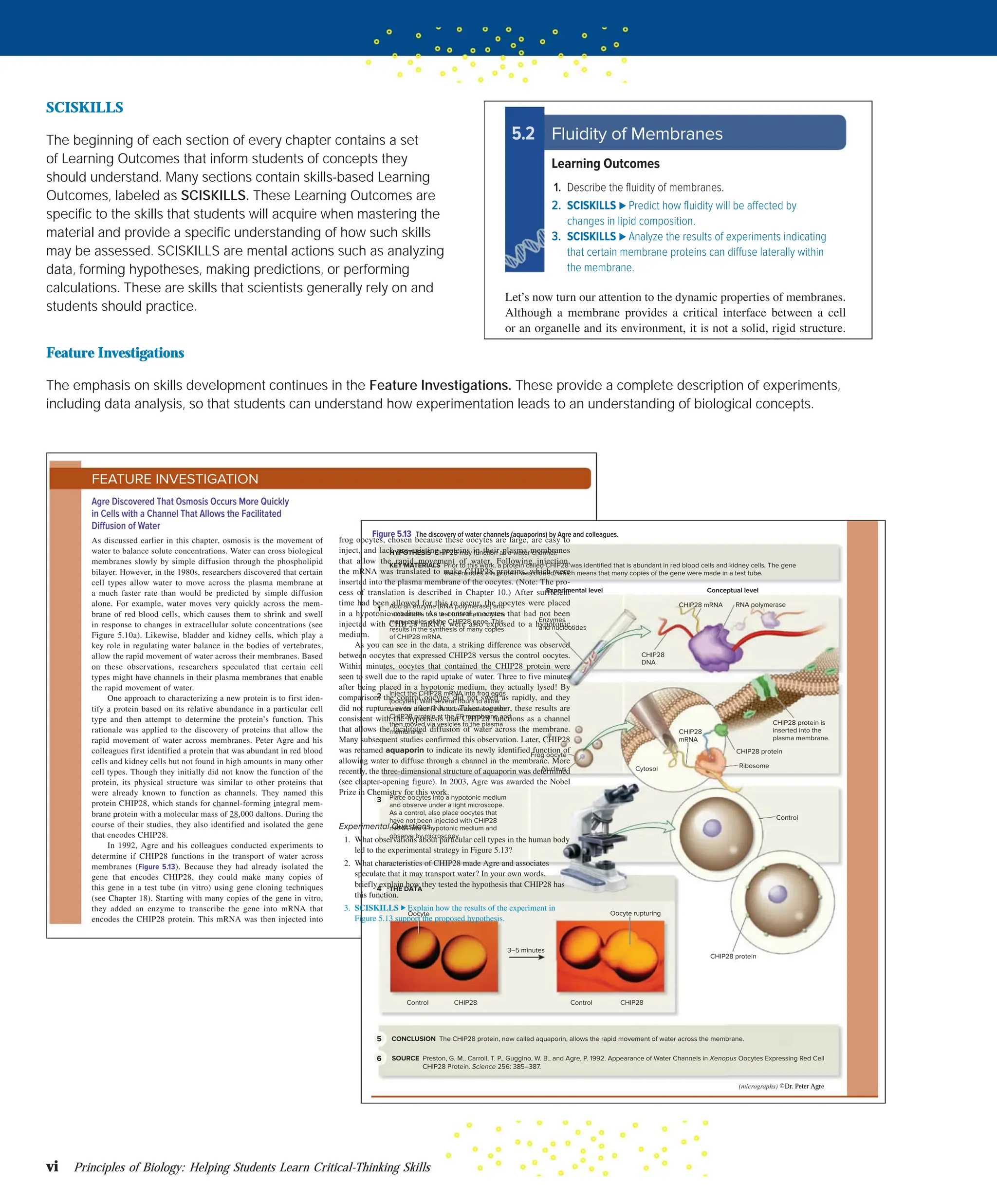 Principles of Biology 4th Edition Robert J. Brooker | PDF