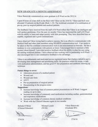 Performance Evaluation Report - Viktor B | PDF