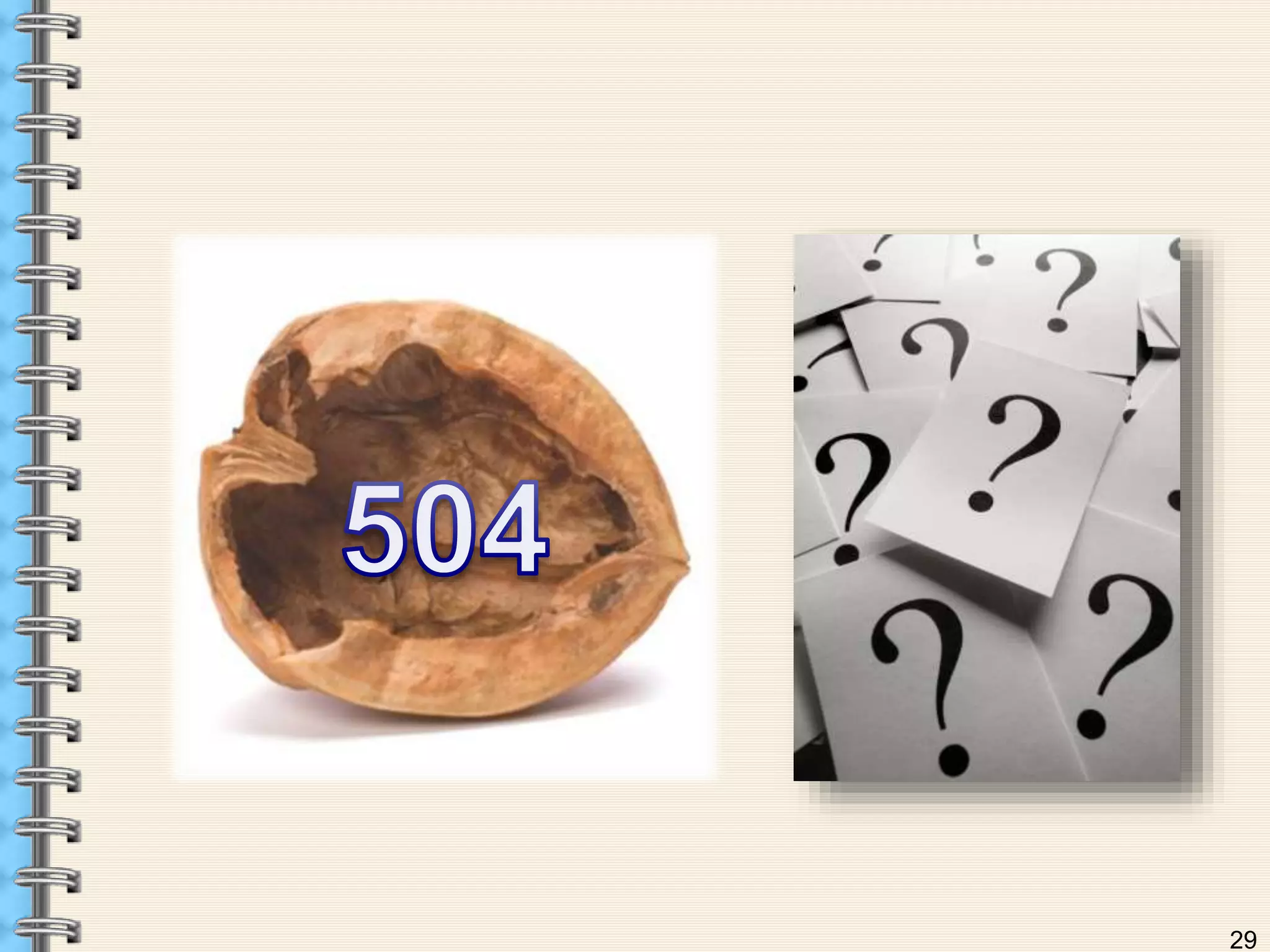 504 Basics Presentation | PPTX