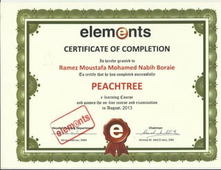 RAMEZ BORAIE PEACH TREE | PPT