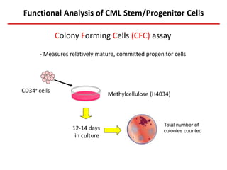 Paul O'Gorman placement presentation | PPT