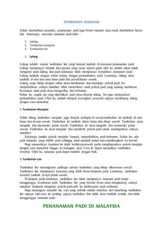 50508576 padi | DOCX