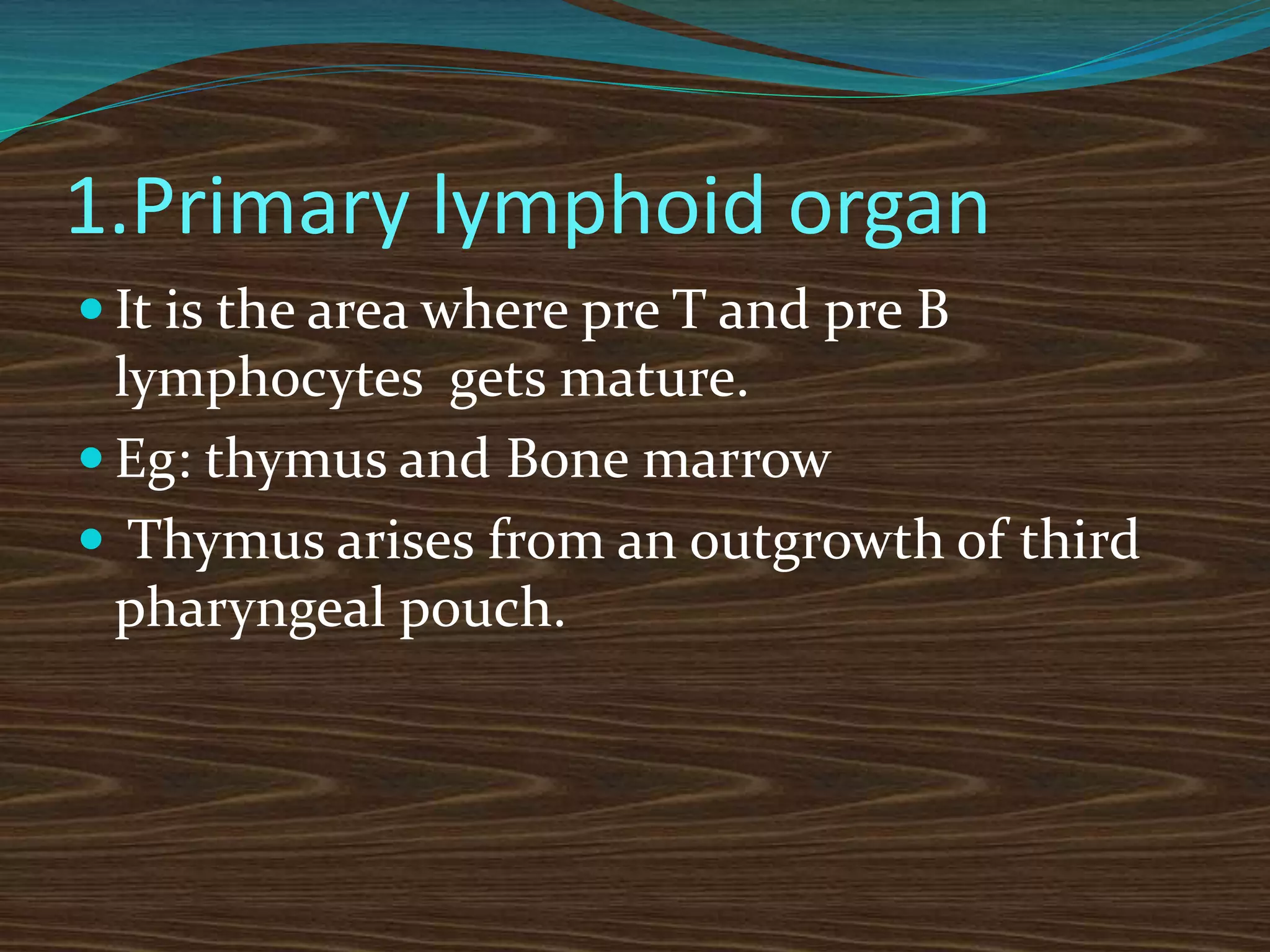50 51 lymphoid tissue of orofacial region.pptx