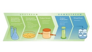 Scale up process or Bioreactor scale up or Upstream process | PPTX