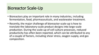 Scale up process or Bioreactor scale up or Upstream process | PPTX