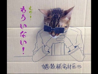 506-Poor cats-Chinese game | PPT