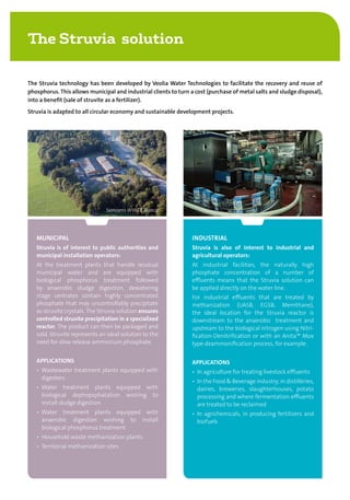 150354_Mkt_Mun_Brochure_STRUVIA_EN_LR (1) | PDF
