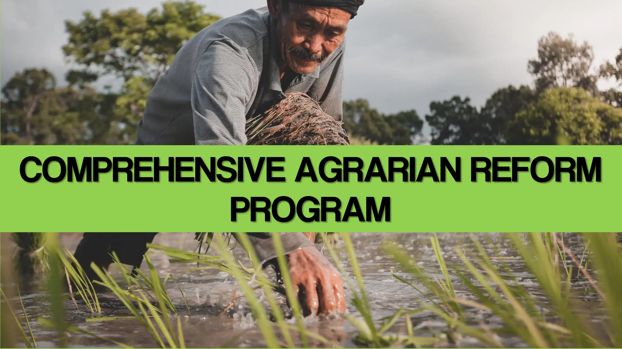 506883677-Philippine-Agrarian-Reform.pdf