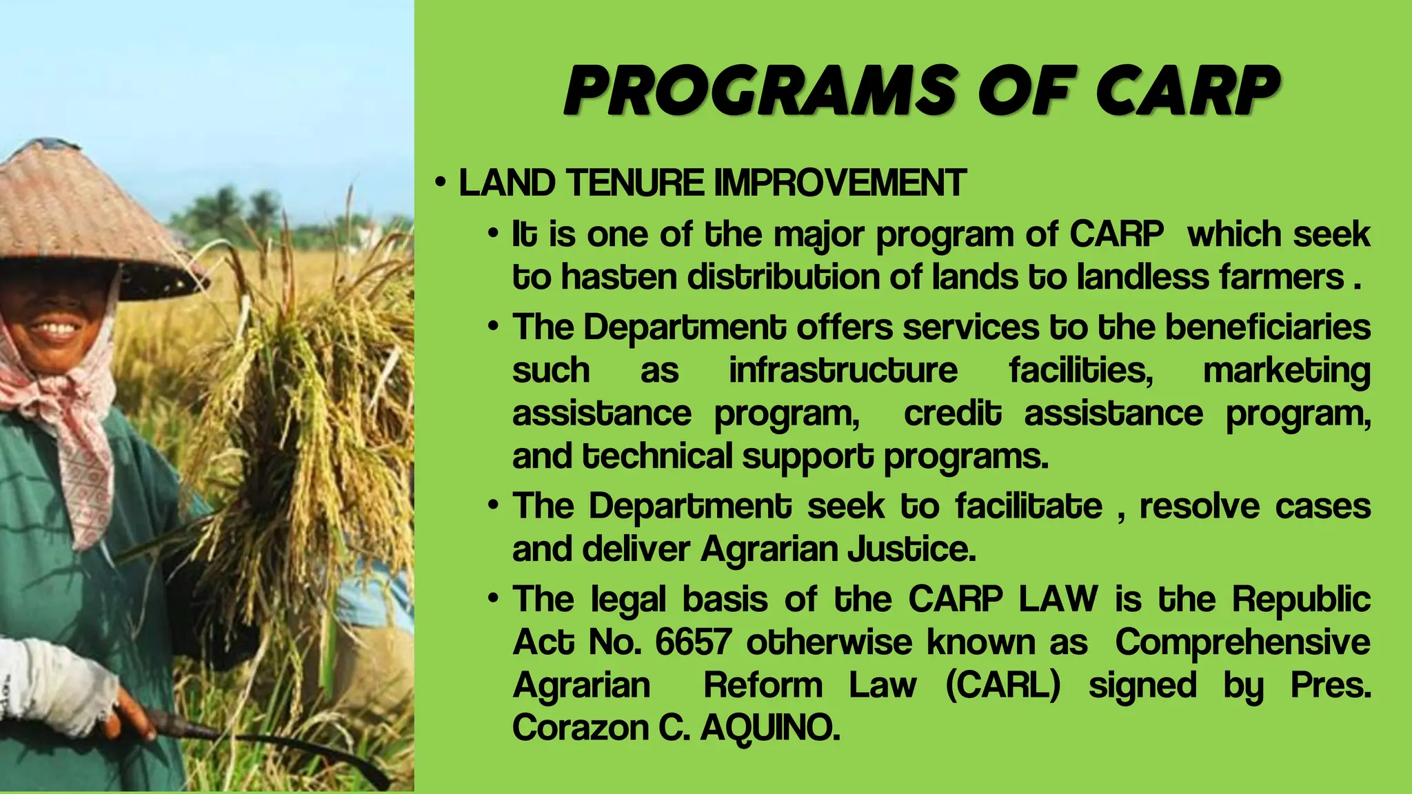 506883677-Philippine-Agrarian-Reform.pdf