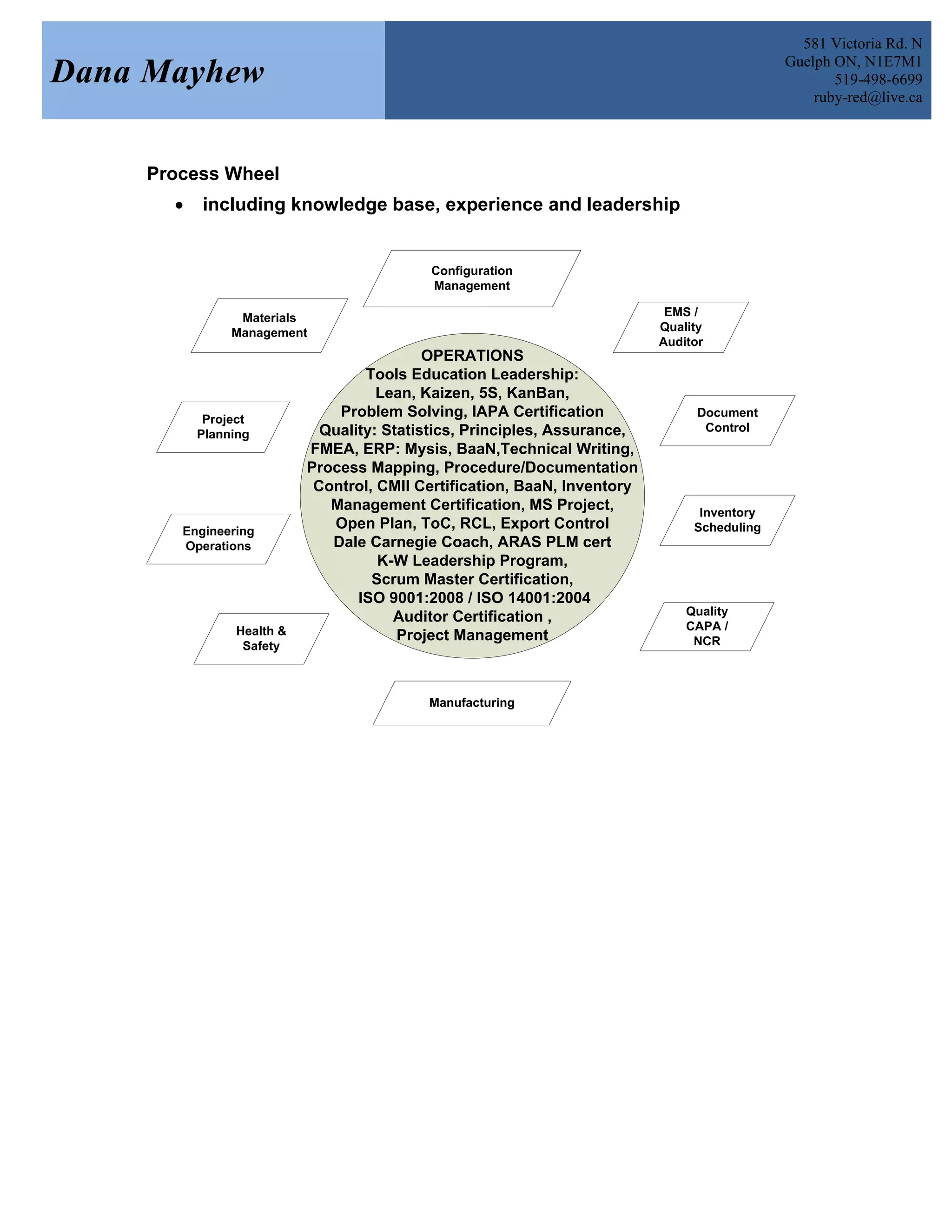Professional Profile Wheel | PDF