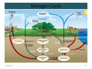 Nitrogen cycle | PPTX