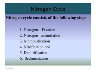 Nitrogen cycle | PPTX
