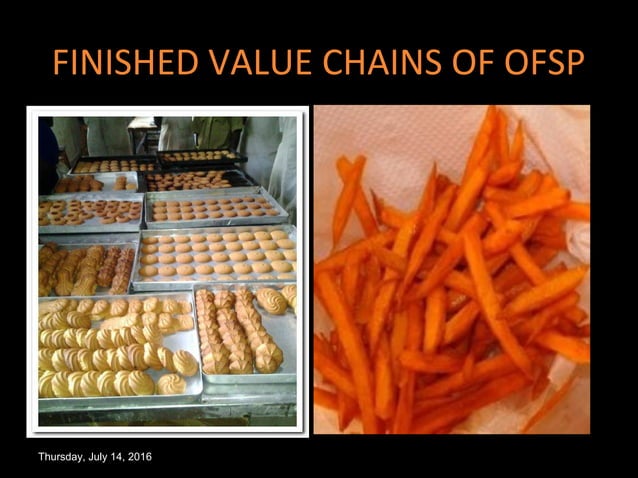 SWEET POTATO VALUE CHAIN INVESTORS PLAN | PPT