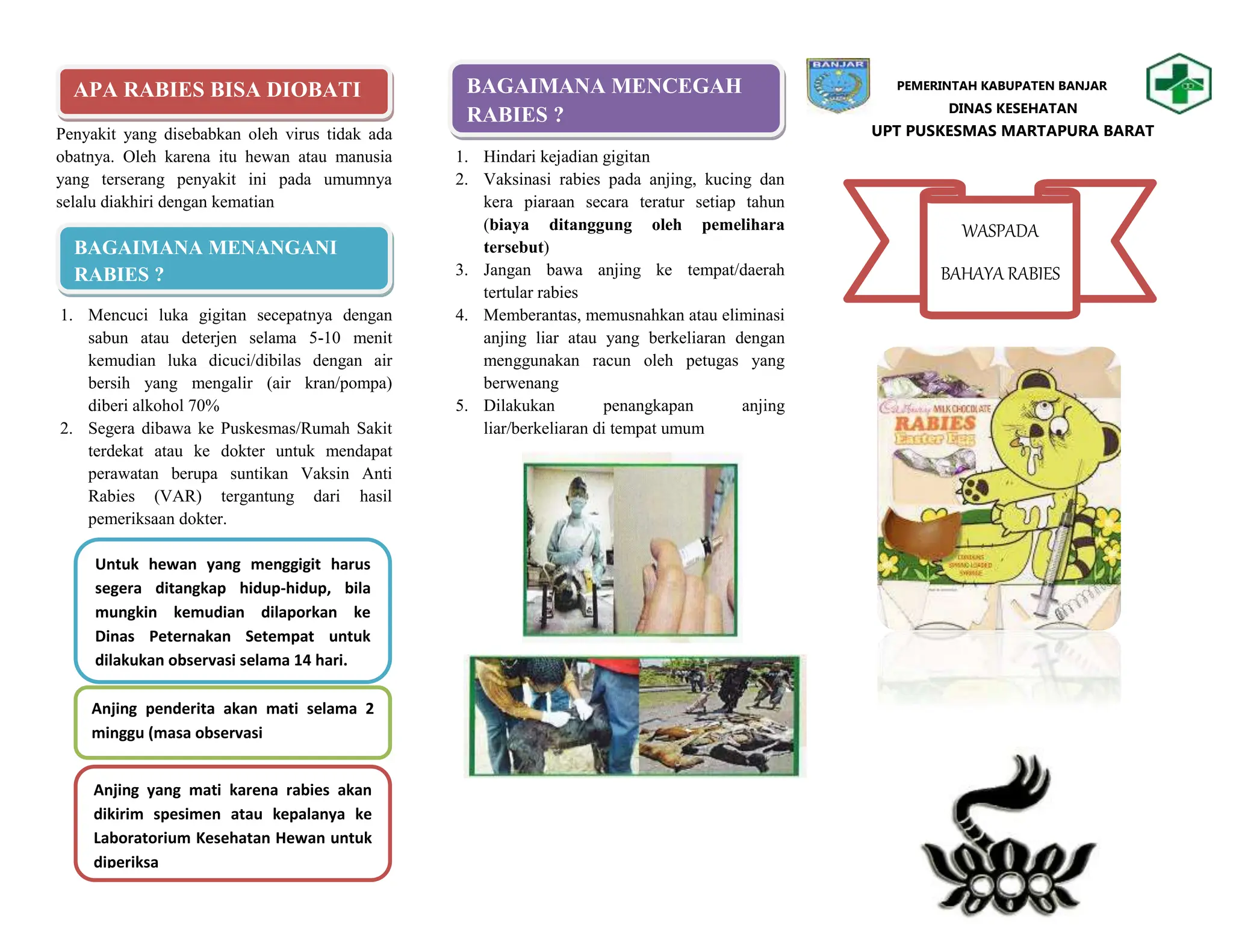 508567664-Leaflet-Rabies.docxa anjing gila | PPT