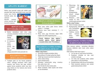 508567664-Leaflet-Rabies.docxa anjing gila | PPT