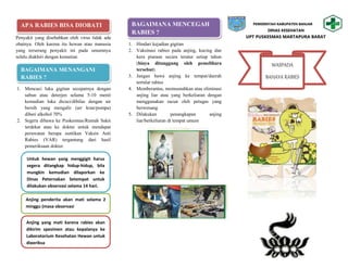 508567664-Leaflet-Rabies.docxa anjing gila | PPT