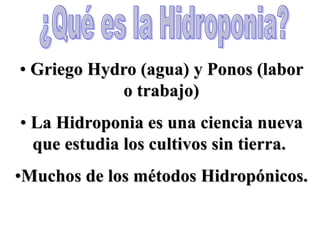 50870516-hidroponia. descargado en novppt | PPT