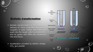 Modern Techniques For Yield Enhancement | PPT