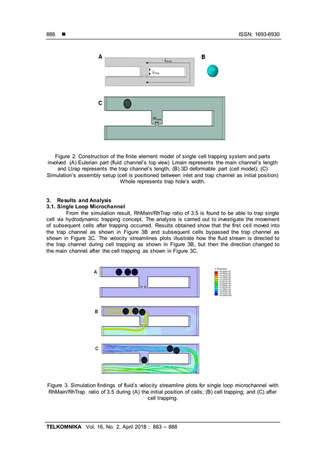 Finite Element Simulation of Microfluidic Biochip for High Throughput Hydrodynamic Single Cell ...