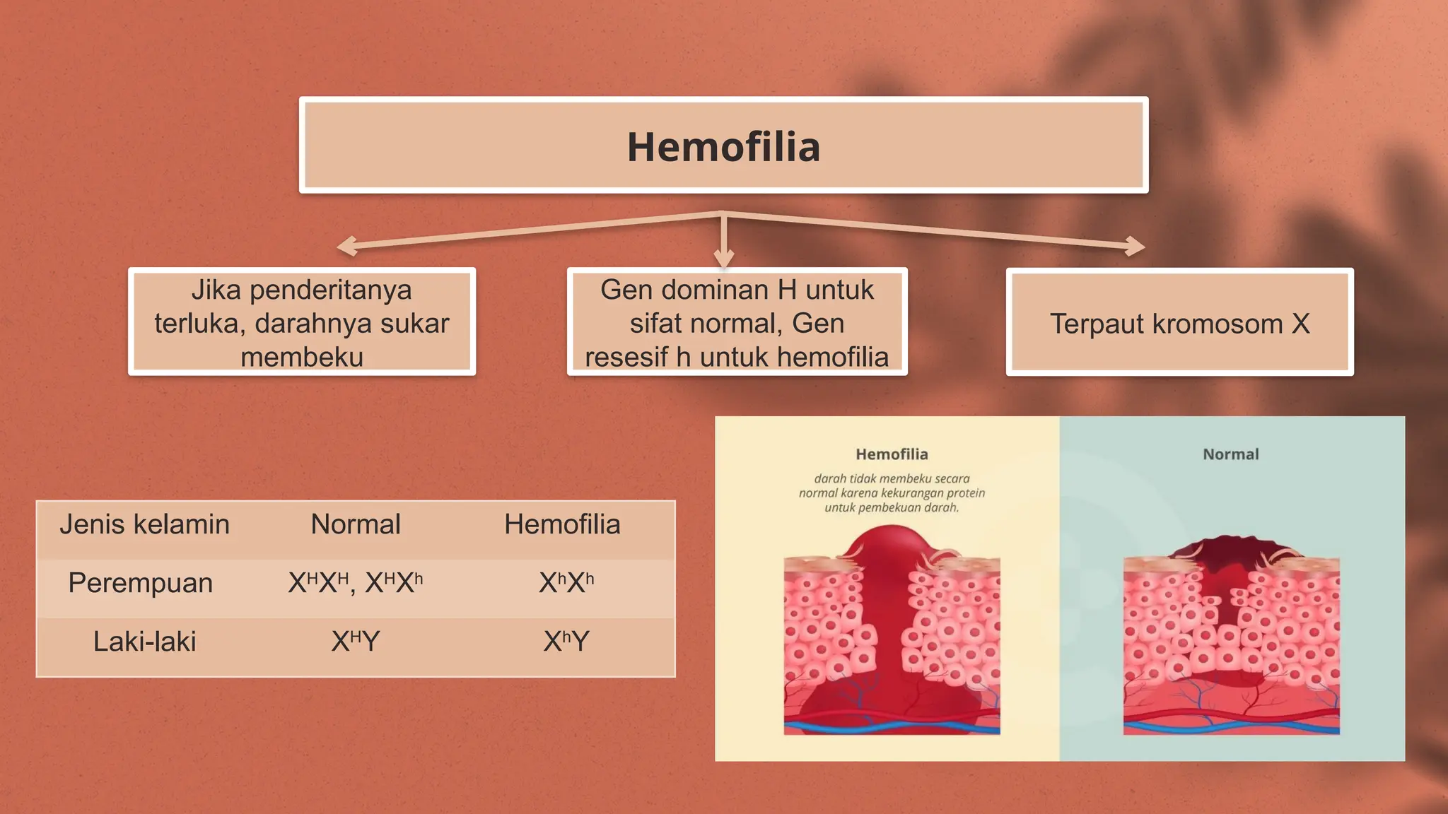 123454332223333PPT-Hereditas-Manusia.pptx