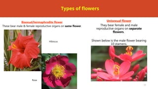 Reproduction in plants is very Good subject | PPT