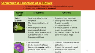 Reproduction in plants is very Good subject | PPT
