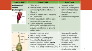 Reproduction in plants is very Good subject | PPT