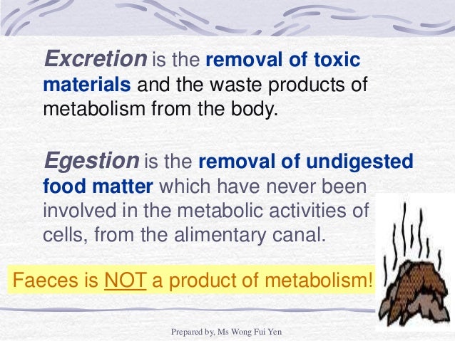Excretion Meaning Excretory Products and Modes of Excretion ...
