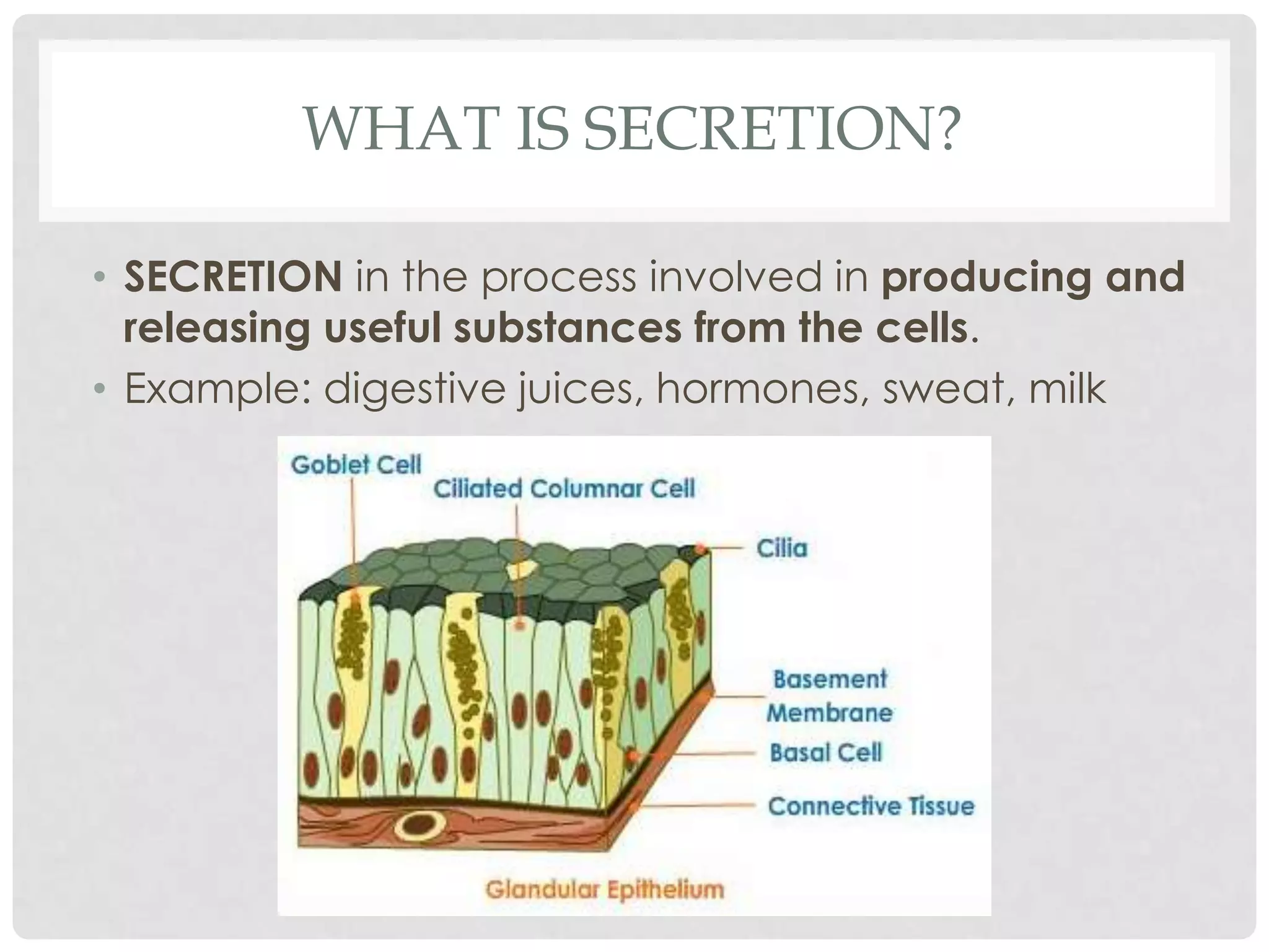 What is Excretion? | PPTX